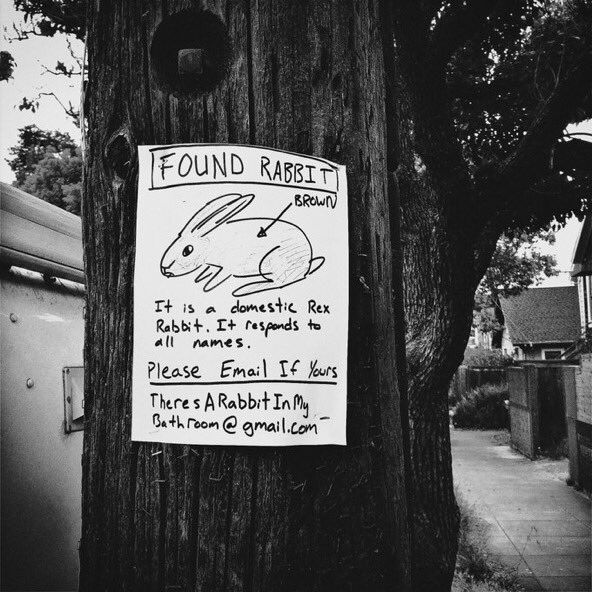 Found Rabbit - Reaping - Teen Wolf (TV) [Archive of Our Own]